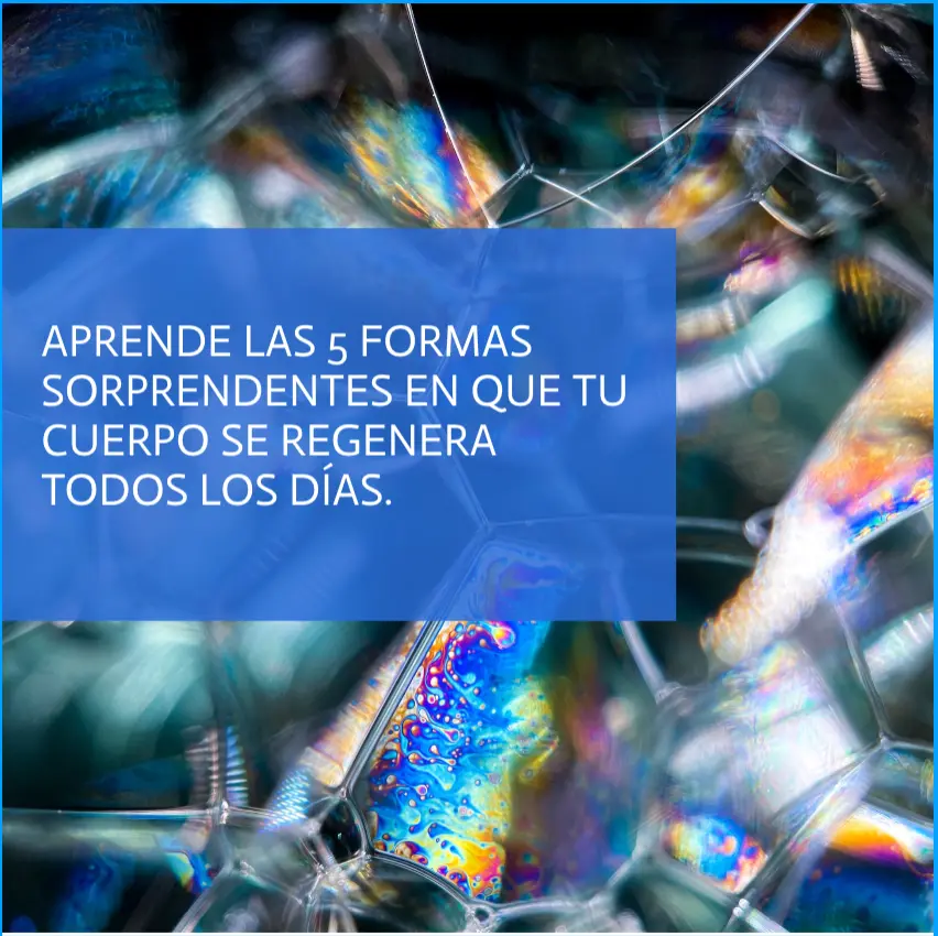 Renovación celular en el cuerpo humano - Verde Receta